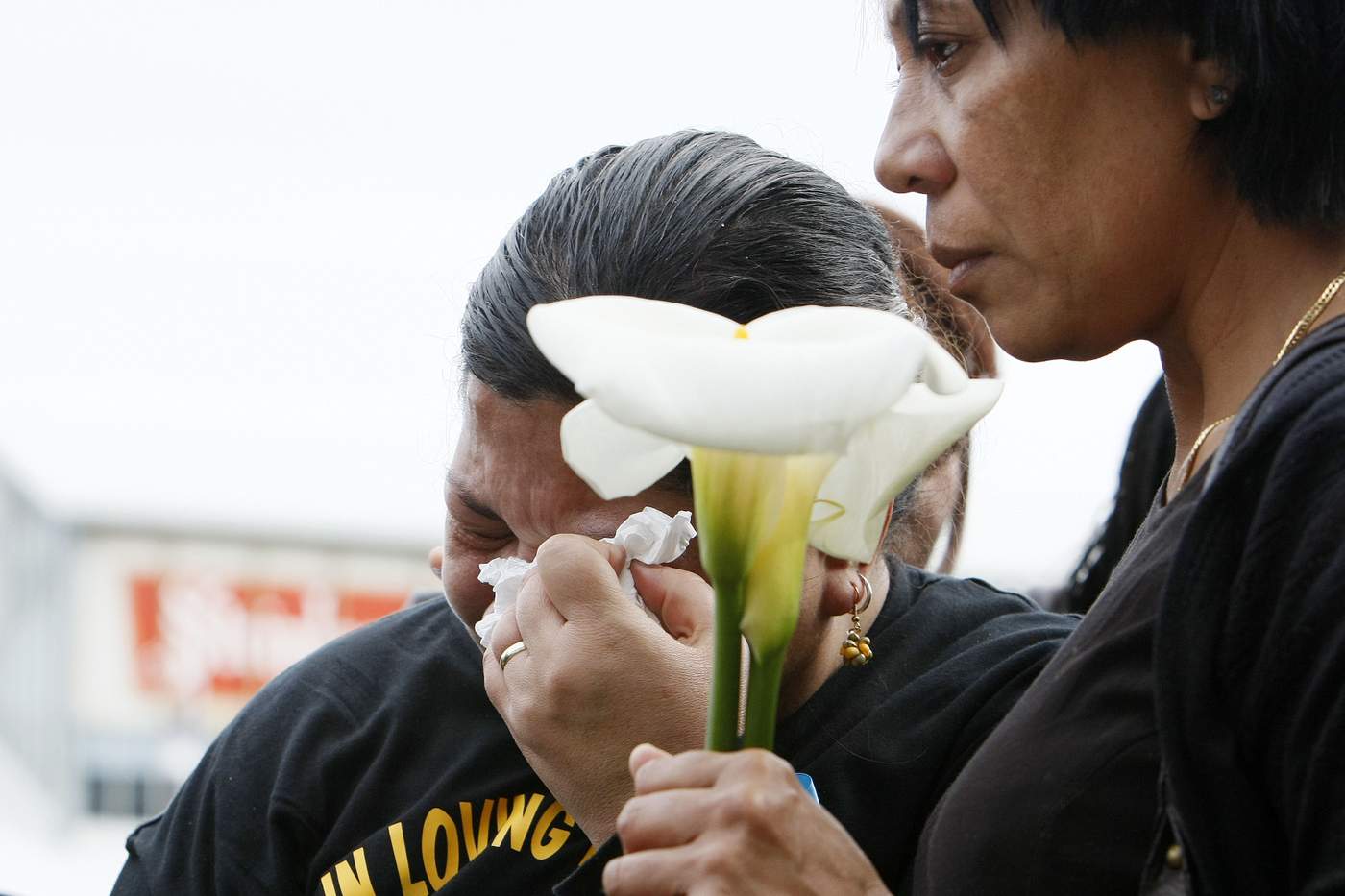 Where boats go to die